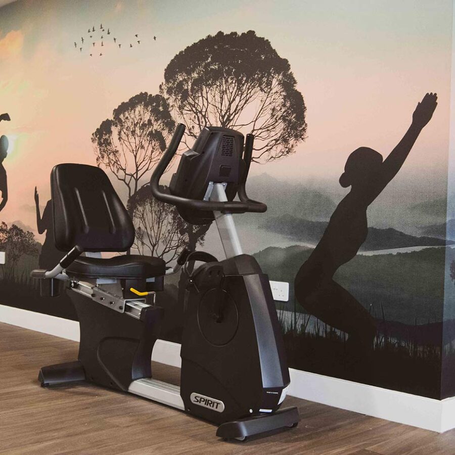 Blythe Rose - MACC Care